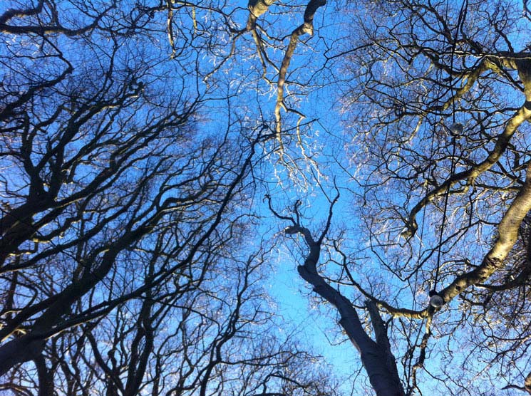 Mindfulness Basics – Mike Kewley